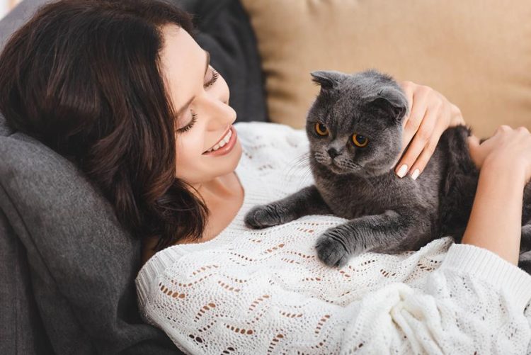 Kann Ich Meine Katze Anstecken