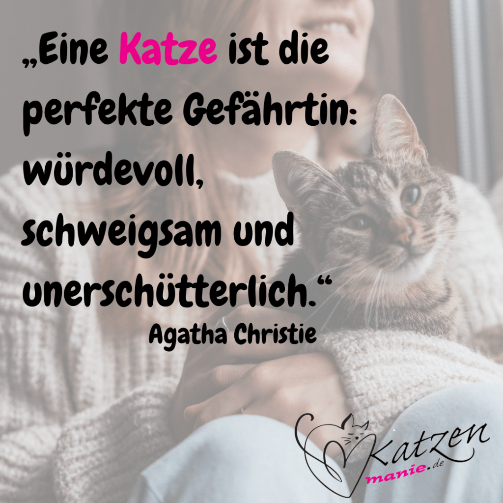 Begleiterin | Katzenmanie.de